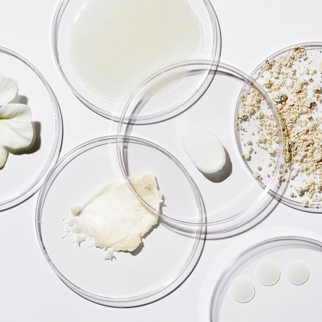 THE AEONIA COLLECTION – Delavie Sciences